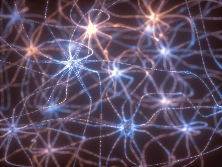 Neuroplasticity In Addiction: How To Rewire The Brain For Recovery
